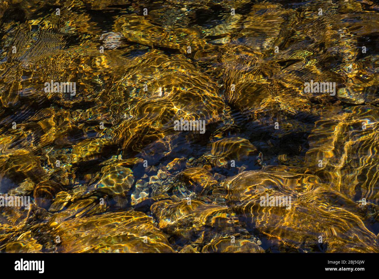 Hamma Hamma Living Legacy Trail dedicated to the accomplishments of the ...