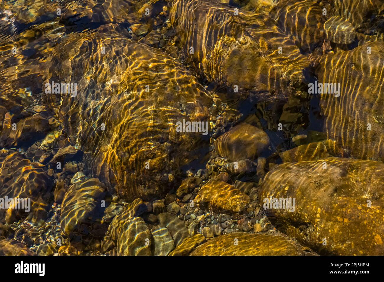 Hamma Hamma Living Legacy Trail dedicated to the accomplishments of the ...