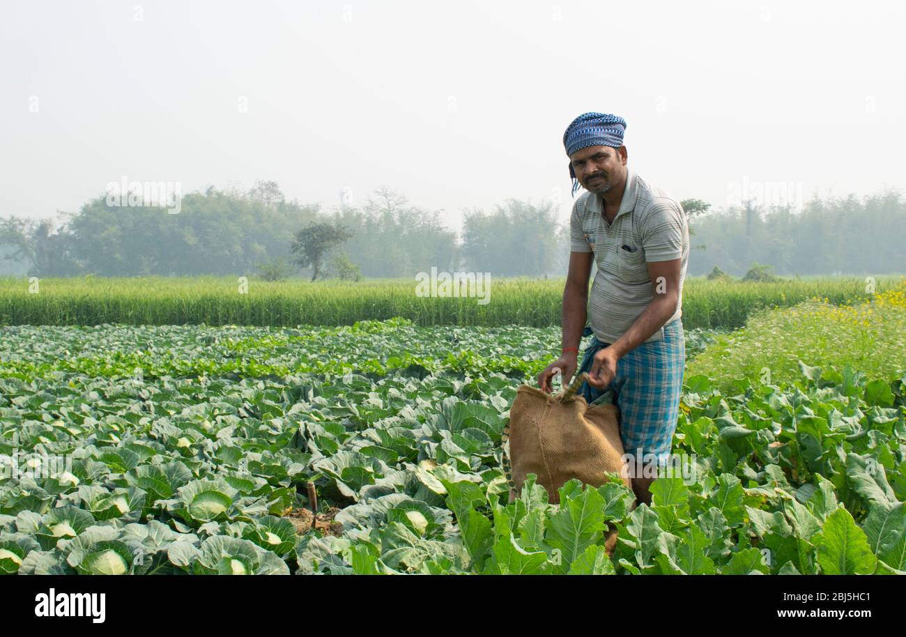 Real people doing real work hi-res stock photography and images - Alamy