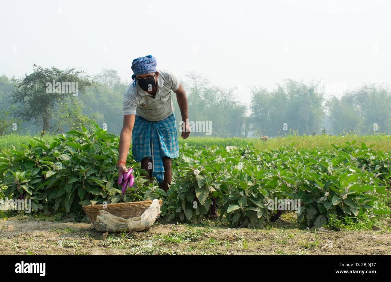 Prevention mask hi-res stock photography and images - Alamy