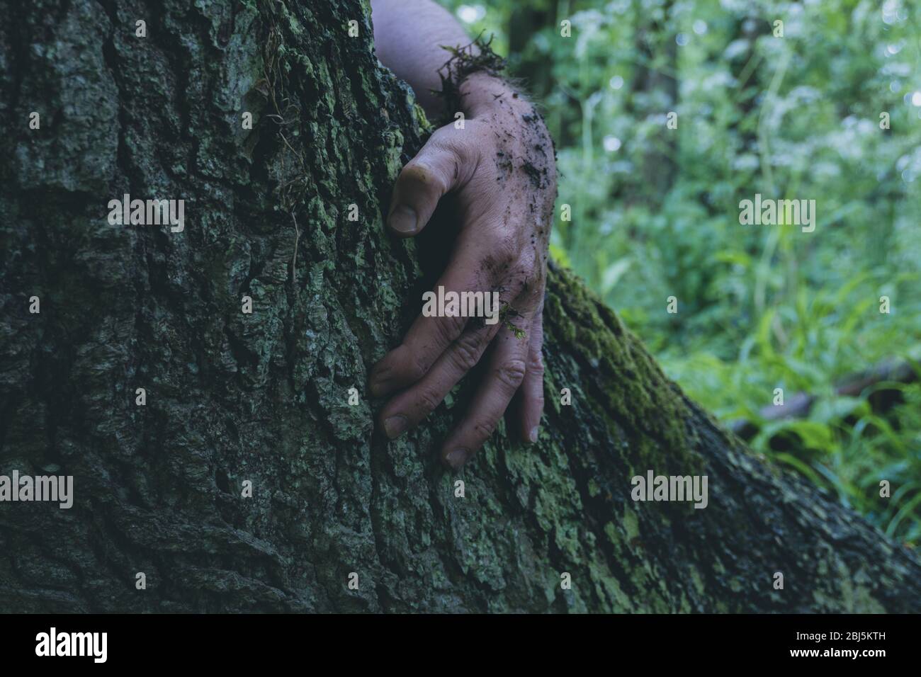 A dirty mans hand grabbing a tree trunk. With a dark moody edit Stock ...