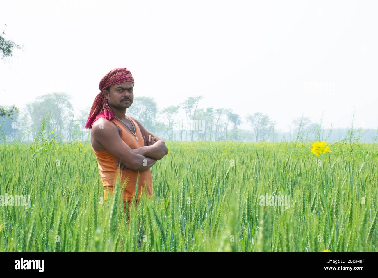 indian farmer, bihar, India Stock Photo - Alamy