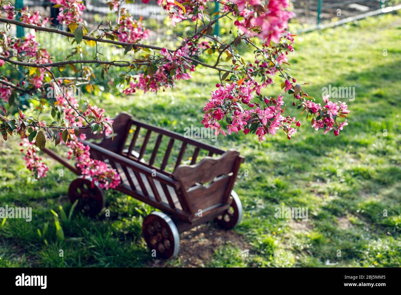 Decorative apple tree hi-res stock photography and images - Alamy
