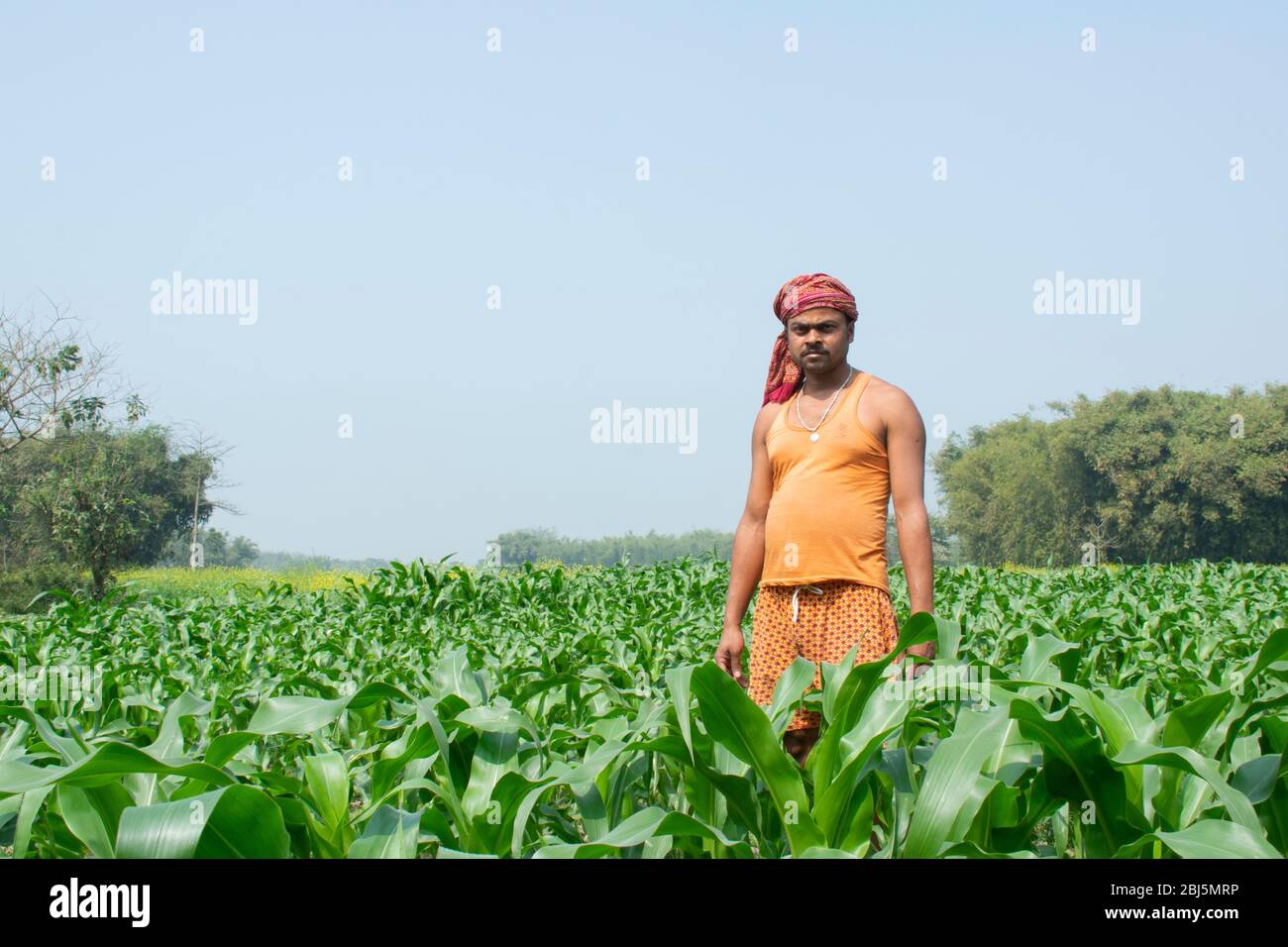 indian farmer, bihar, India Stock Photo - Alamy