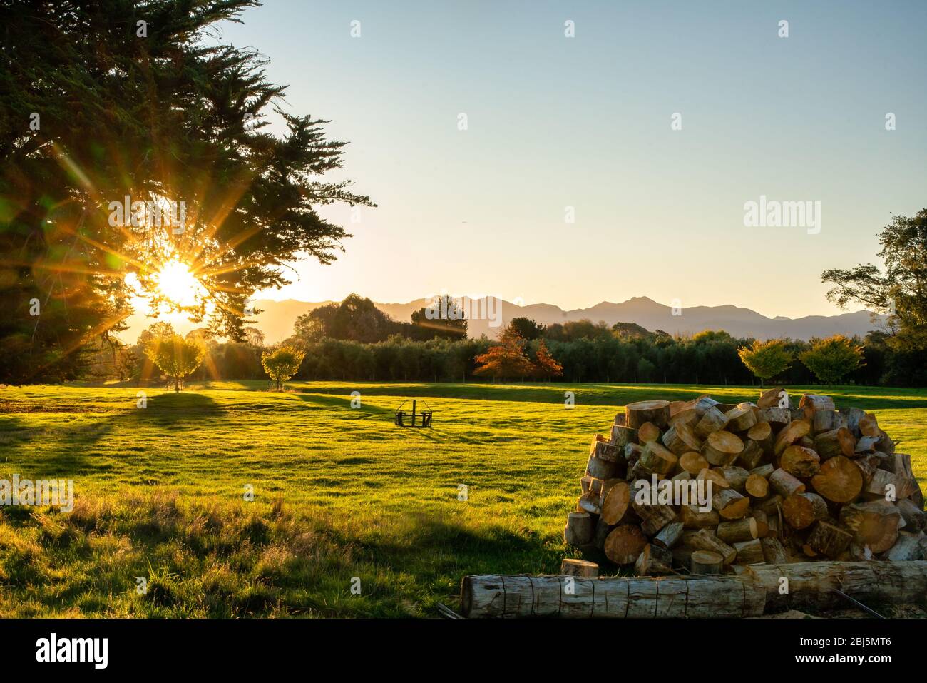 Firewood rings ready for splitting sitting on our field at sunset with ...