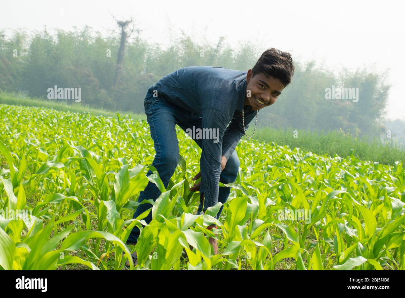 Boys children working india hi-res stock photography and images - Alamy