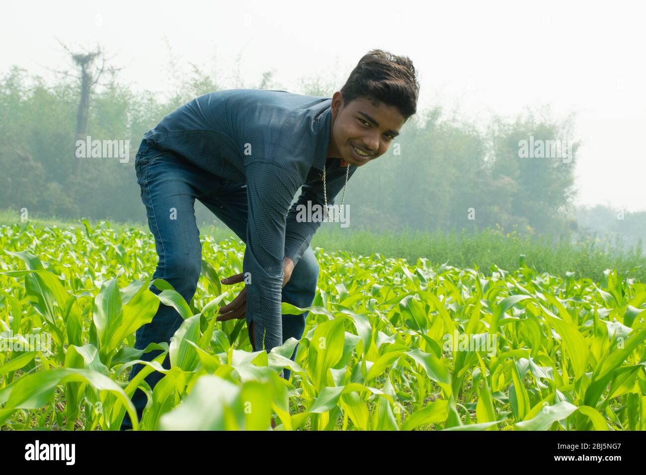 young boys working in field, India Stock Photo - Alamy
