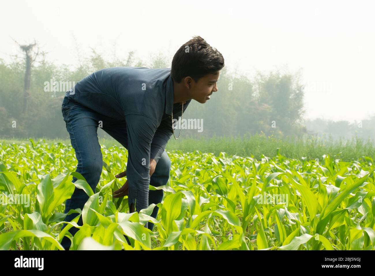 young boys working in field, India Stock Photo - Alamy