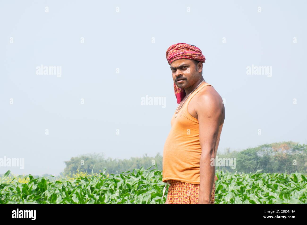 indian farmer, bihar, India Stock Photo - Alamy