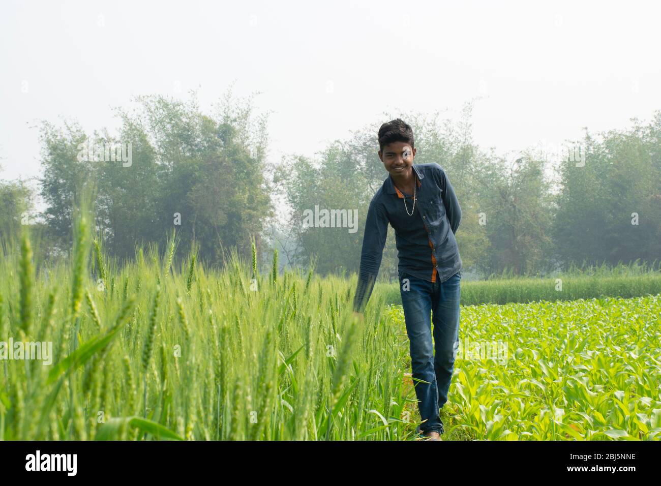 young boys working in field, India Stock Photo - Alamy