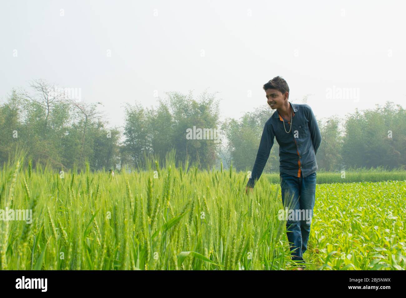young boys working in field, India Stock Photo - Alamy