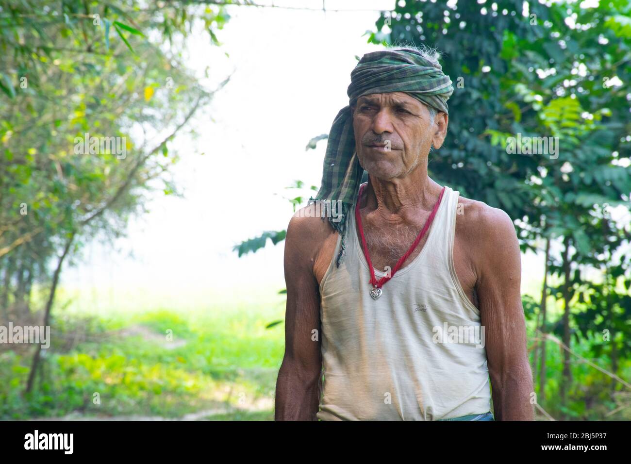 indian farmer, bihar, India Stock Photo - Alamy