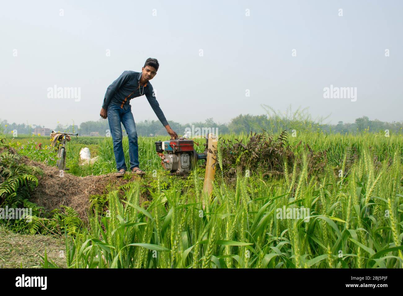 young boys working in field, India Stock Photo - Alamy
