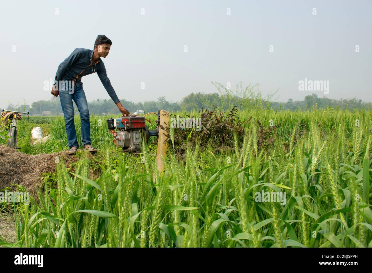 young boys working in field, India Stock Photo - Alamy