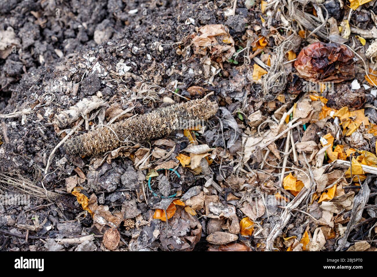 Fresh compost pile, with garden material. Recycled Food. Fertilizer ...