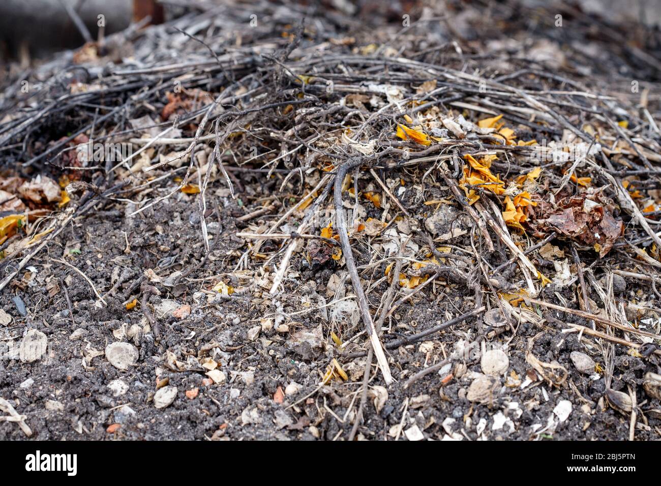 Fresh compost pile, with garden material. Recycled Food. Fertilizer ...