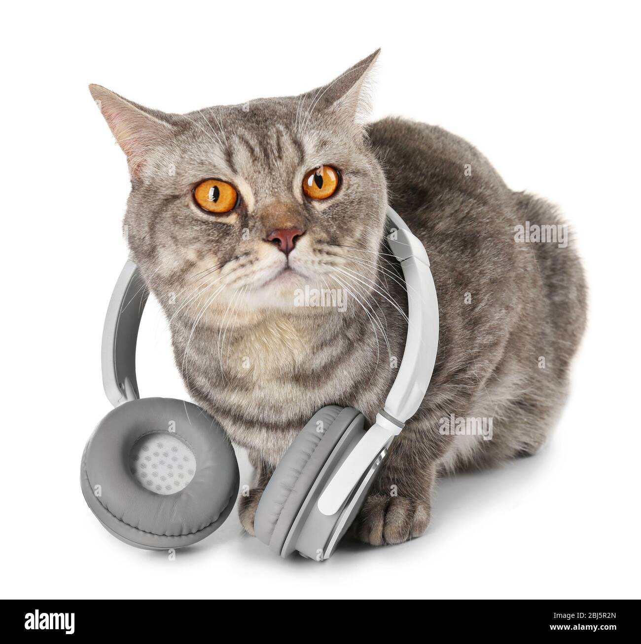 Lovely melody portrait young Cut Out Stock Images & Pictures - Alamy