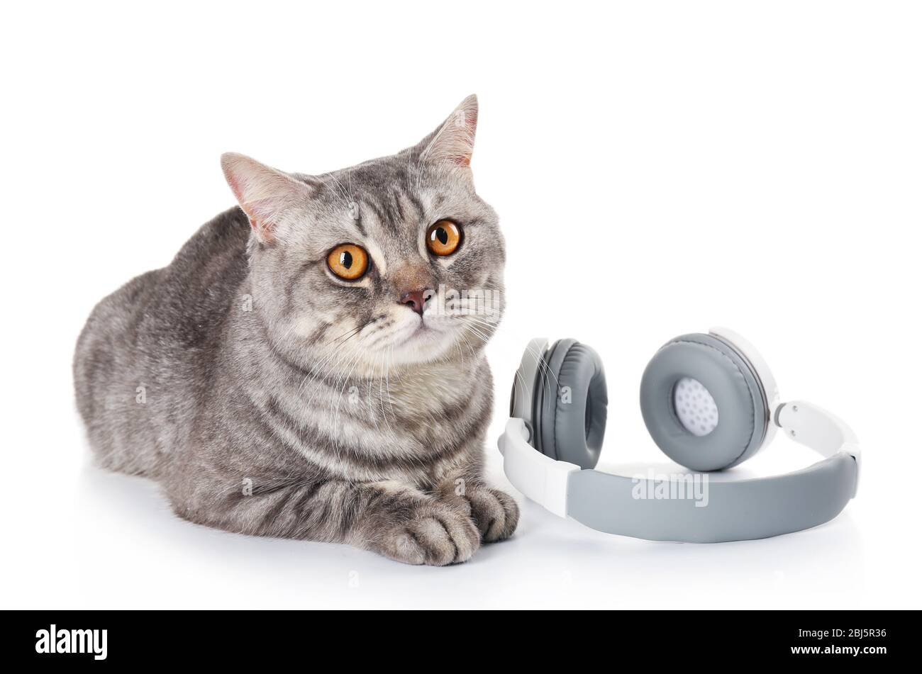 Lovely melody portrait young Cut Out Stock Images & Pictures - Alamy