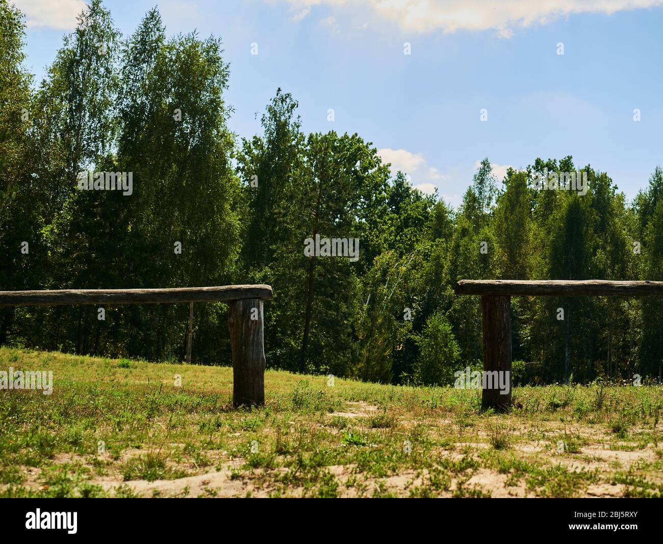 Forest summer landscape with entrance border. Protected forests. Safe ...