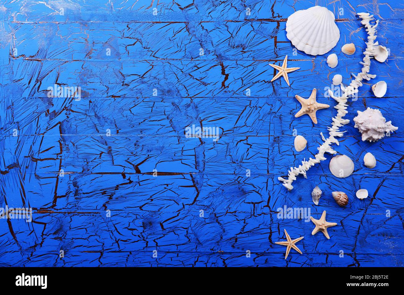 Seashells on dark blue background Stock Photo - Alamy