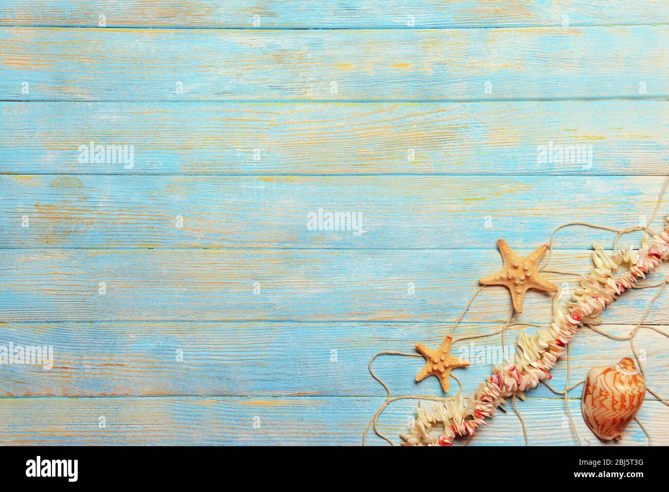 Seashells on light blue background Stock Photo - Alamy