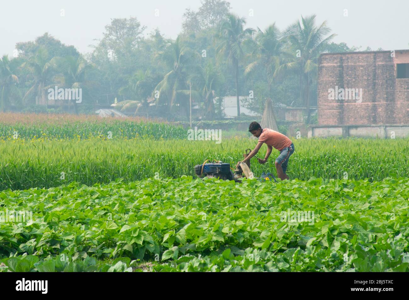 young boys working in field, India Stock Photo - Alamy