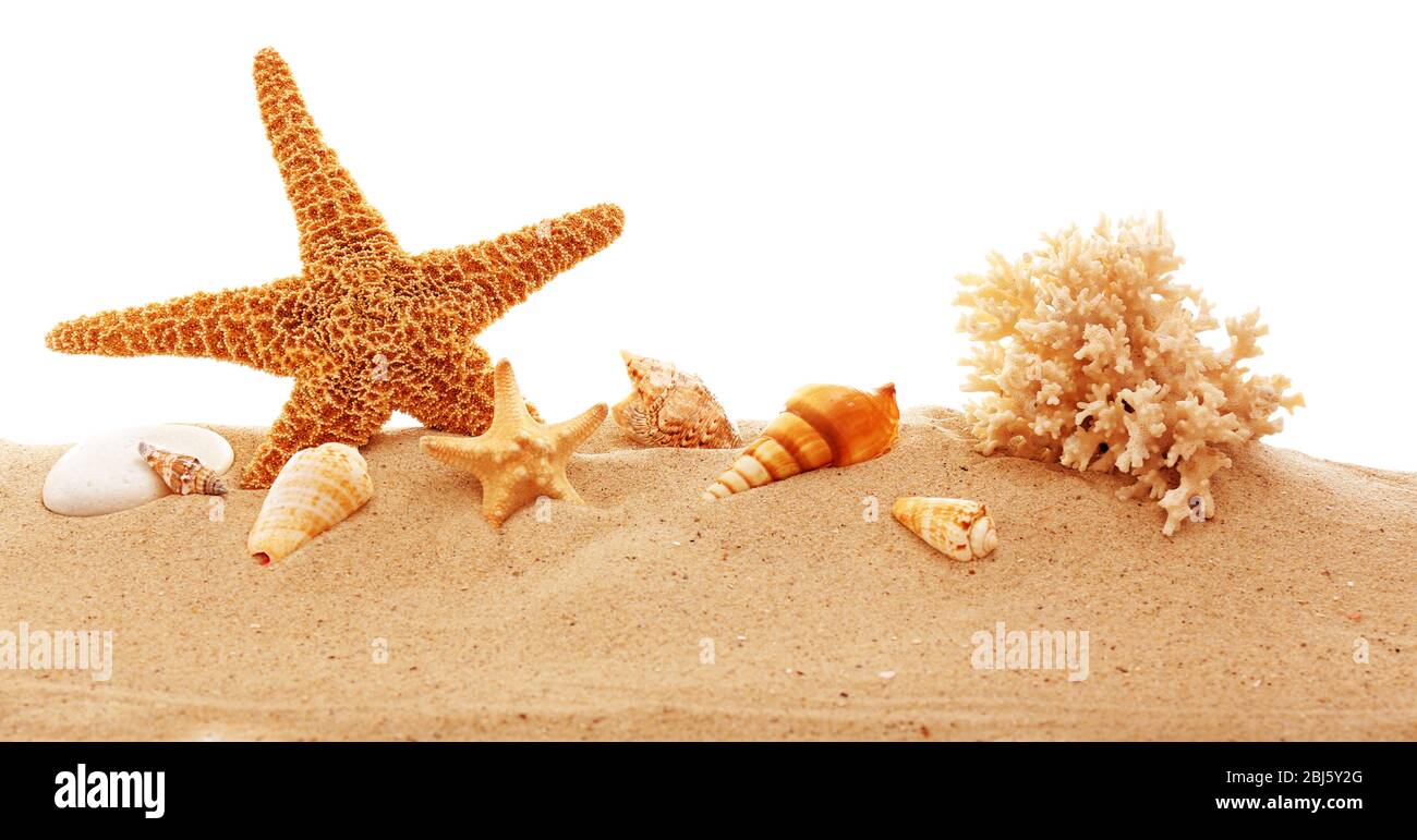 Starfish, coral and shells on sand against white background Stock Photo ...