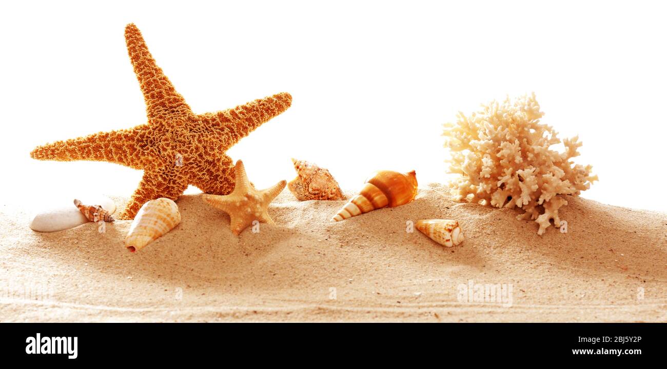 Starfish, coral and shells on sand against white background Stock Photo ...