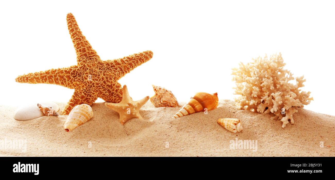Starfish, coral and shells on sand against white background Stock Photo ...