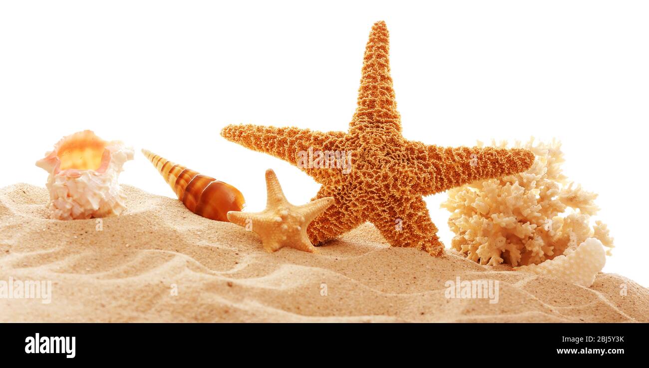 Starfish, coral and shells on sand against white background Stock Photo ...