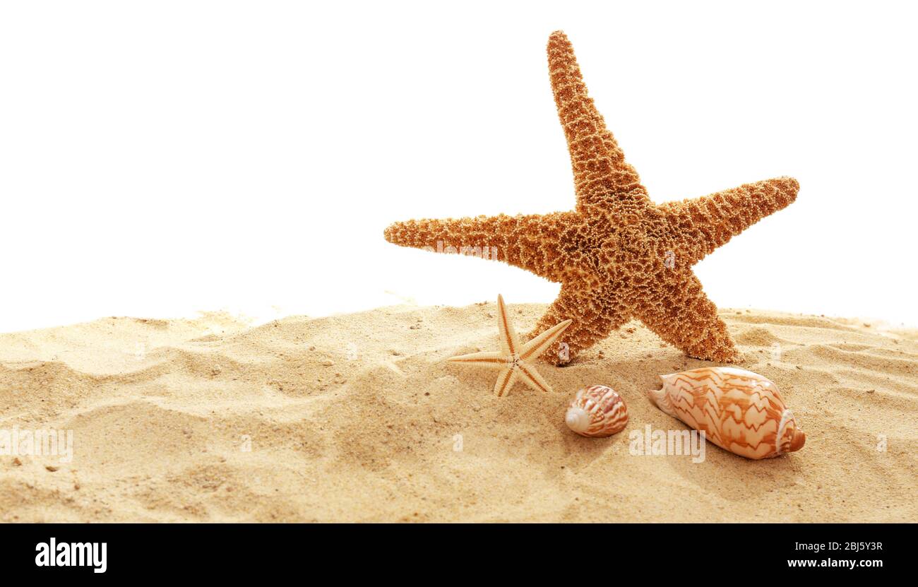 Starfish and shells on sand against white background Stock Photo - Alamy