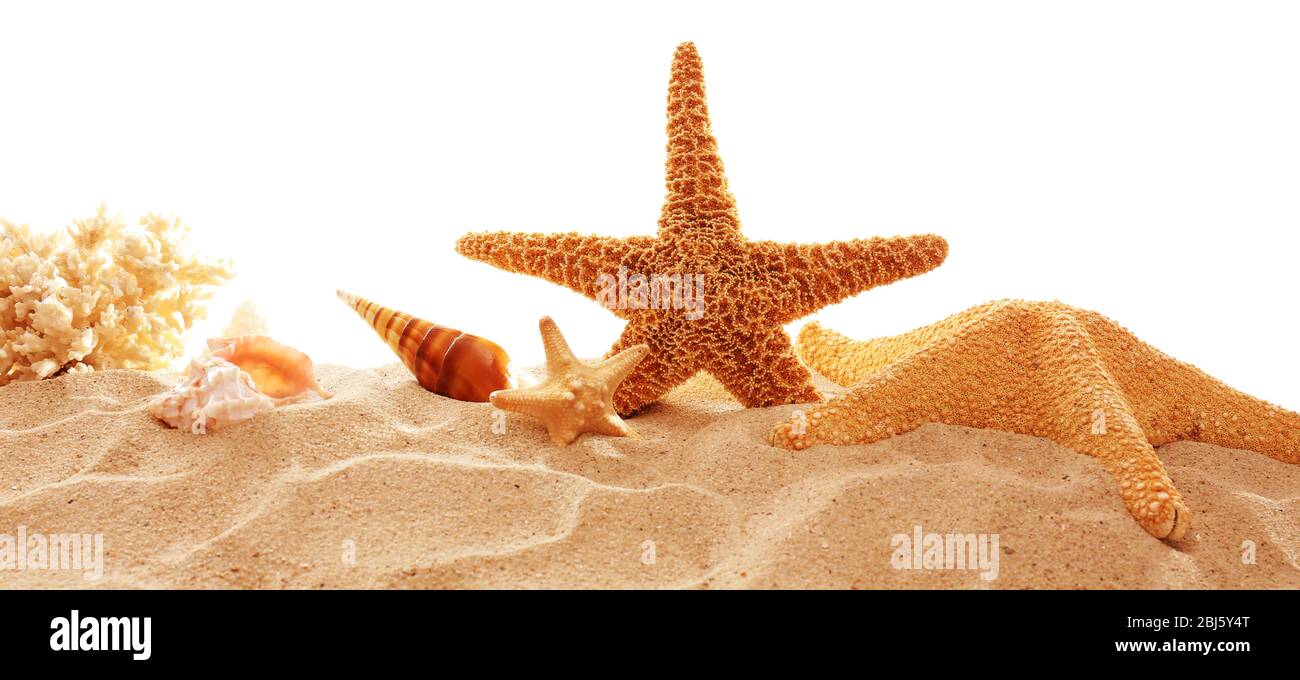 Starfish, coral and shells on sand against white background Stock Photo ...