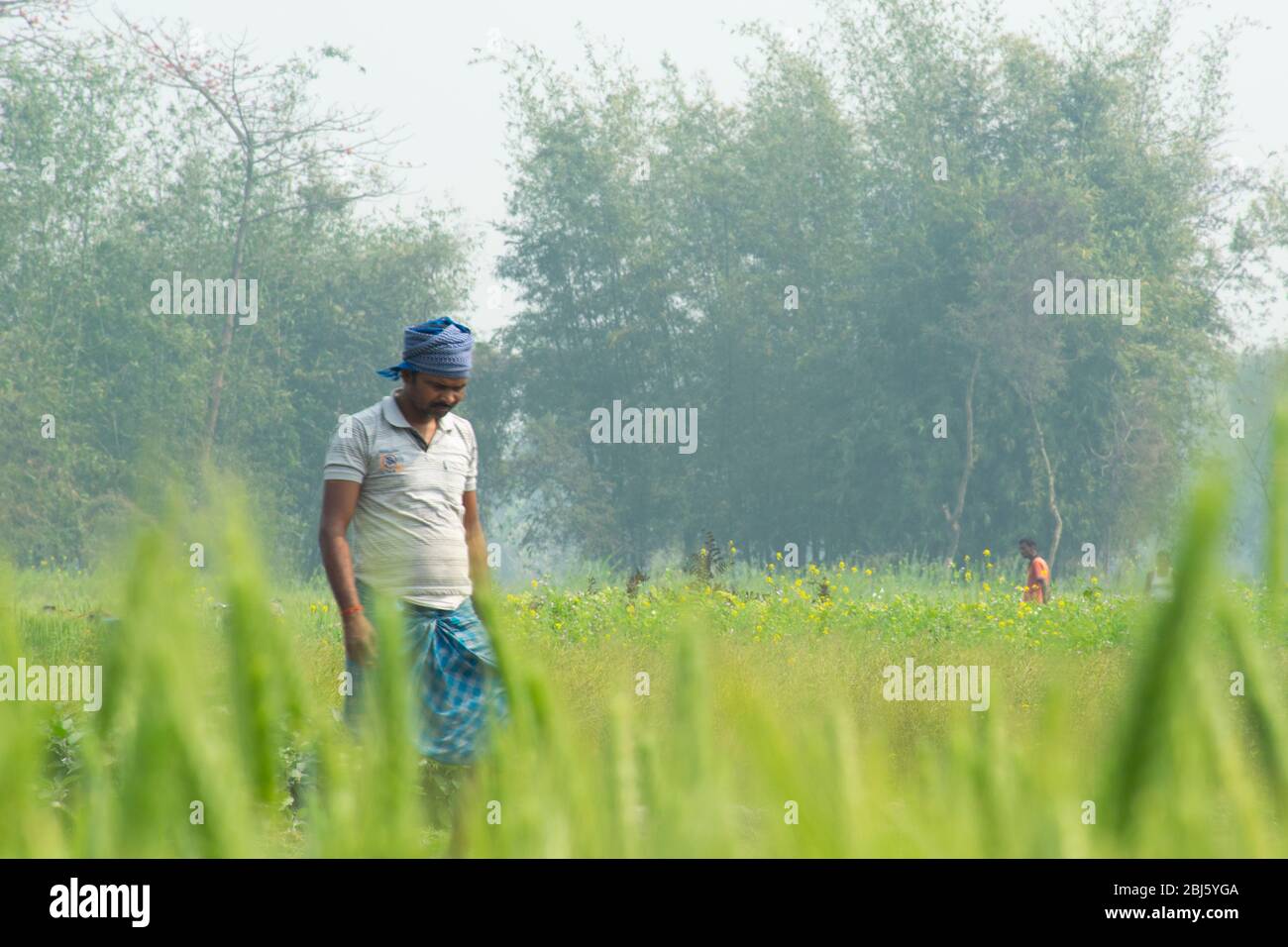 indian farmer working at agricultural field, India Stock Photo - Alamy