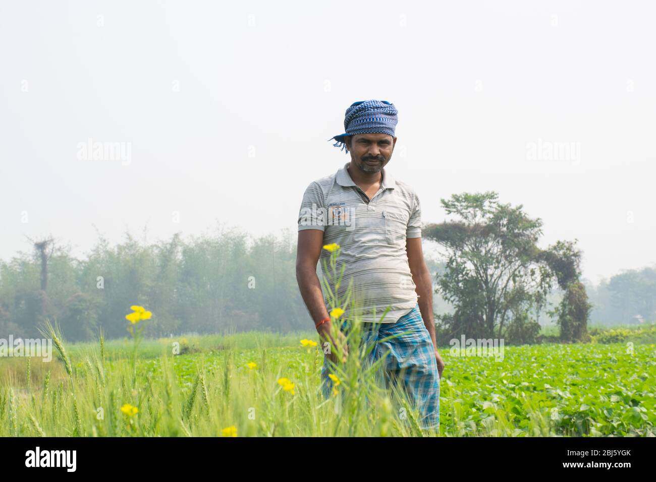 indian farmer working at agricultural field, India Stock Photo - Alamy