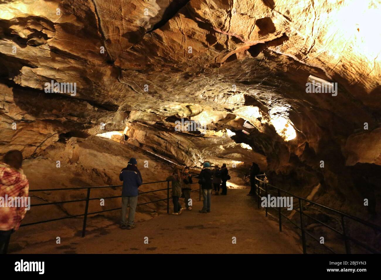 Cheddar Gorge is a limestone gorge in the Mendip Hills , near the ...