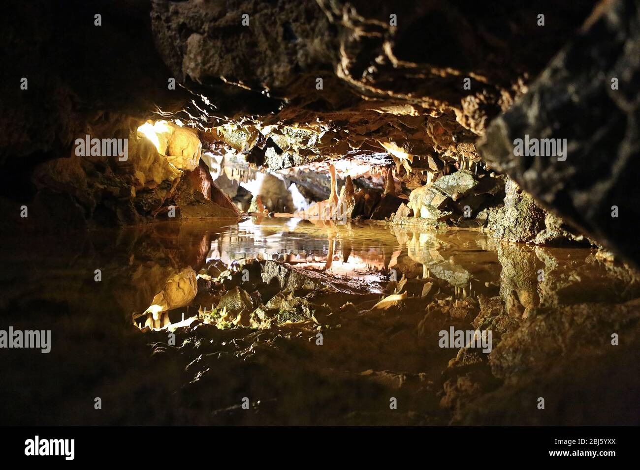 Cheddar Gorge is a limestone gorge in the Mendip Hills , near the ...