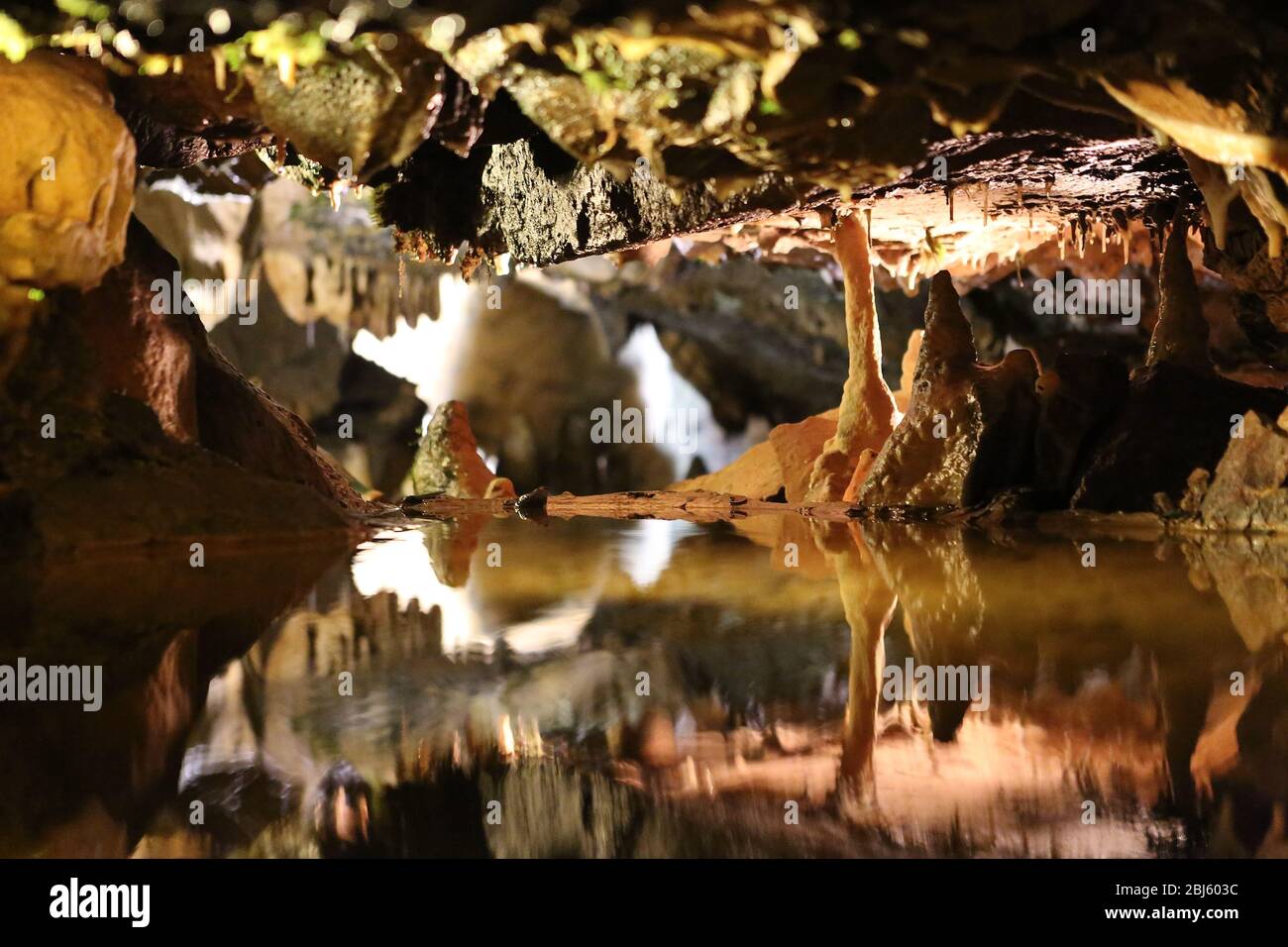 Cheddar Gorge is a limestone gorge in the Mendip Hills , near the ...
