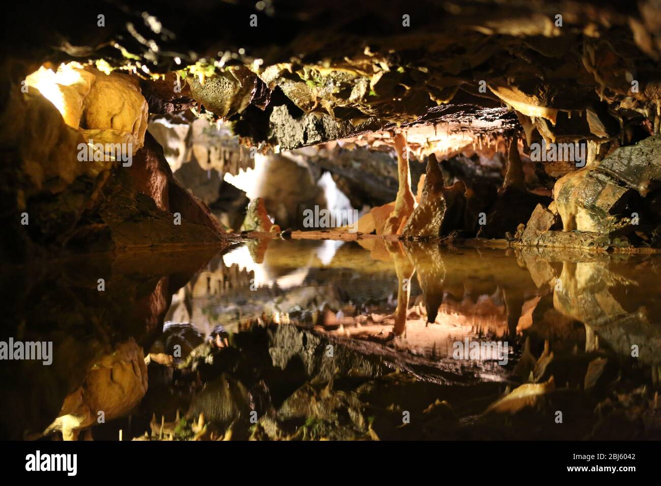 Cheddar Gorge is a limestone gorge in the Mendip Hills , near the ...