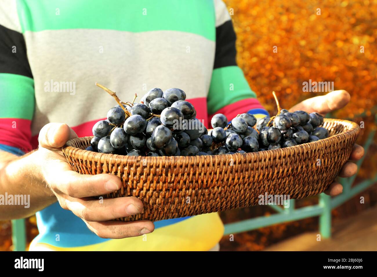 Holding grape hi-res stock photography and images - Alamy