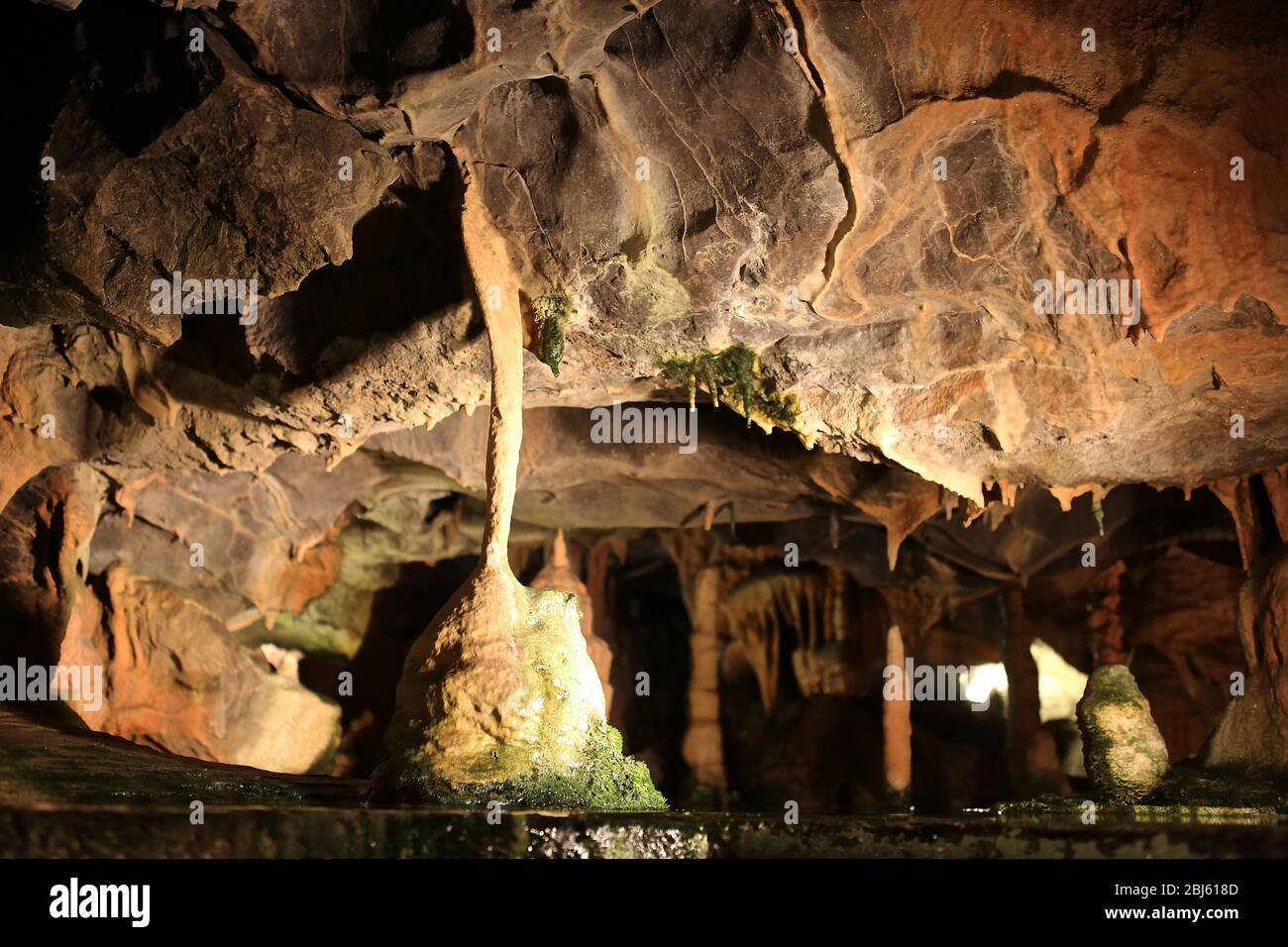 Cheddar Gorge is a limestone gorge in the Mendip Hills , near the ...