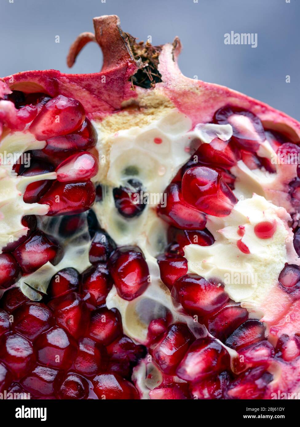 Close-up pomegranate fruit (food) portrait showing seeds prominently ...