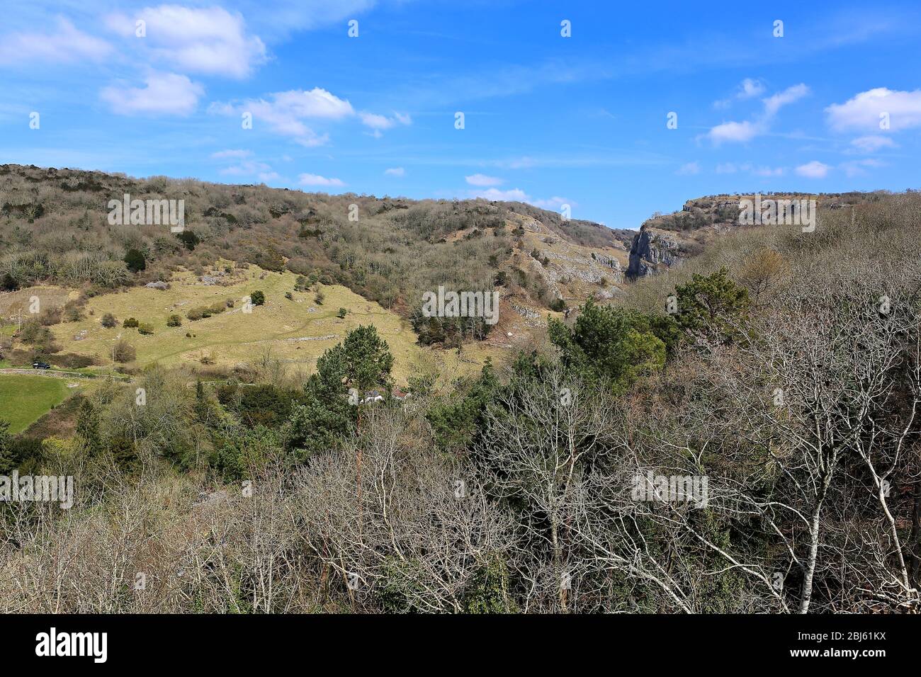 Cheddar Gorge is a limestone gorge in the Mendip Hills , near the ...