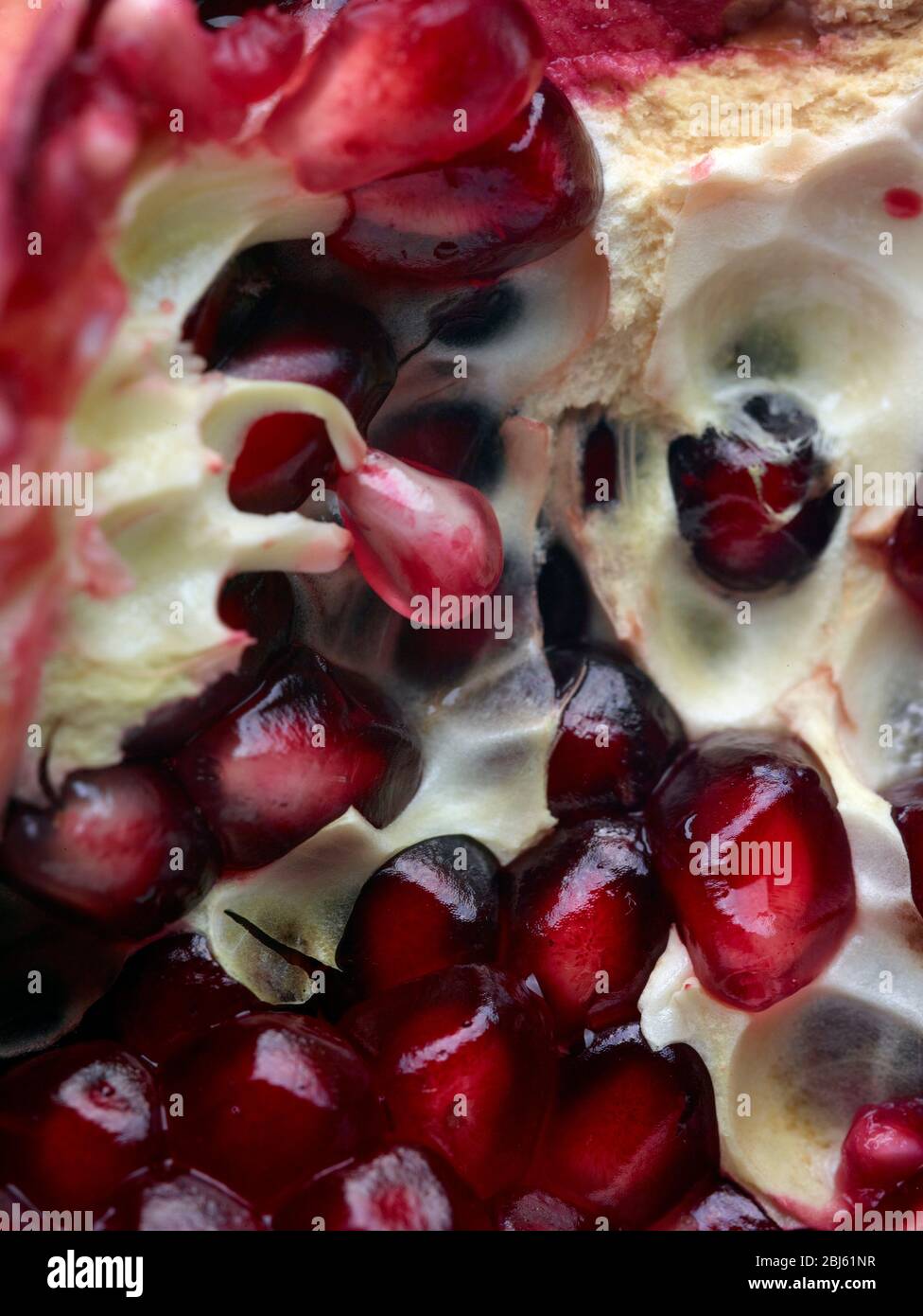 Close-up pomegranate fruit (food) portrait showing seeds prominently ...