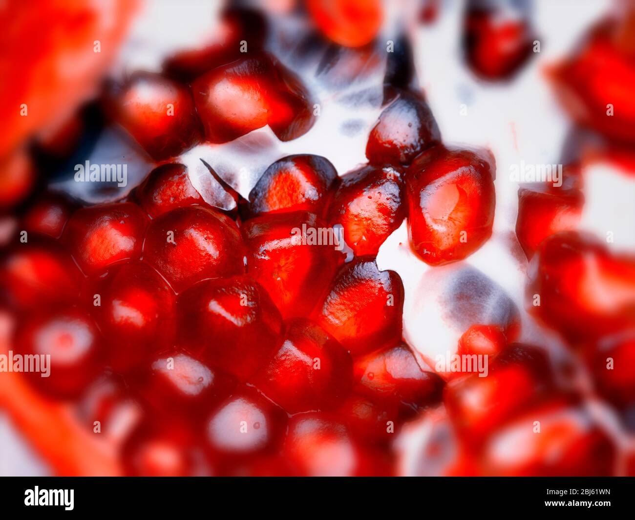 Close-up pomegranate fruit (food) portrait showing seeds prominently ...