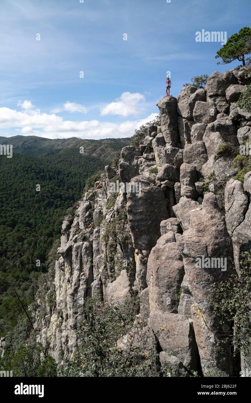 Rock formation vegetation hi-res stock photography and images - Alamy