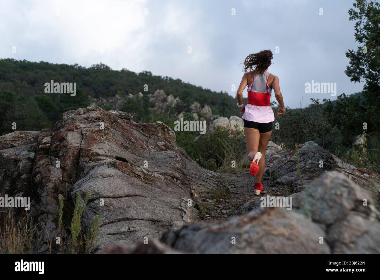 One woman seen from behind running on a trail Stock Photo - Alamy