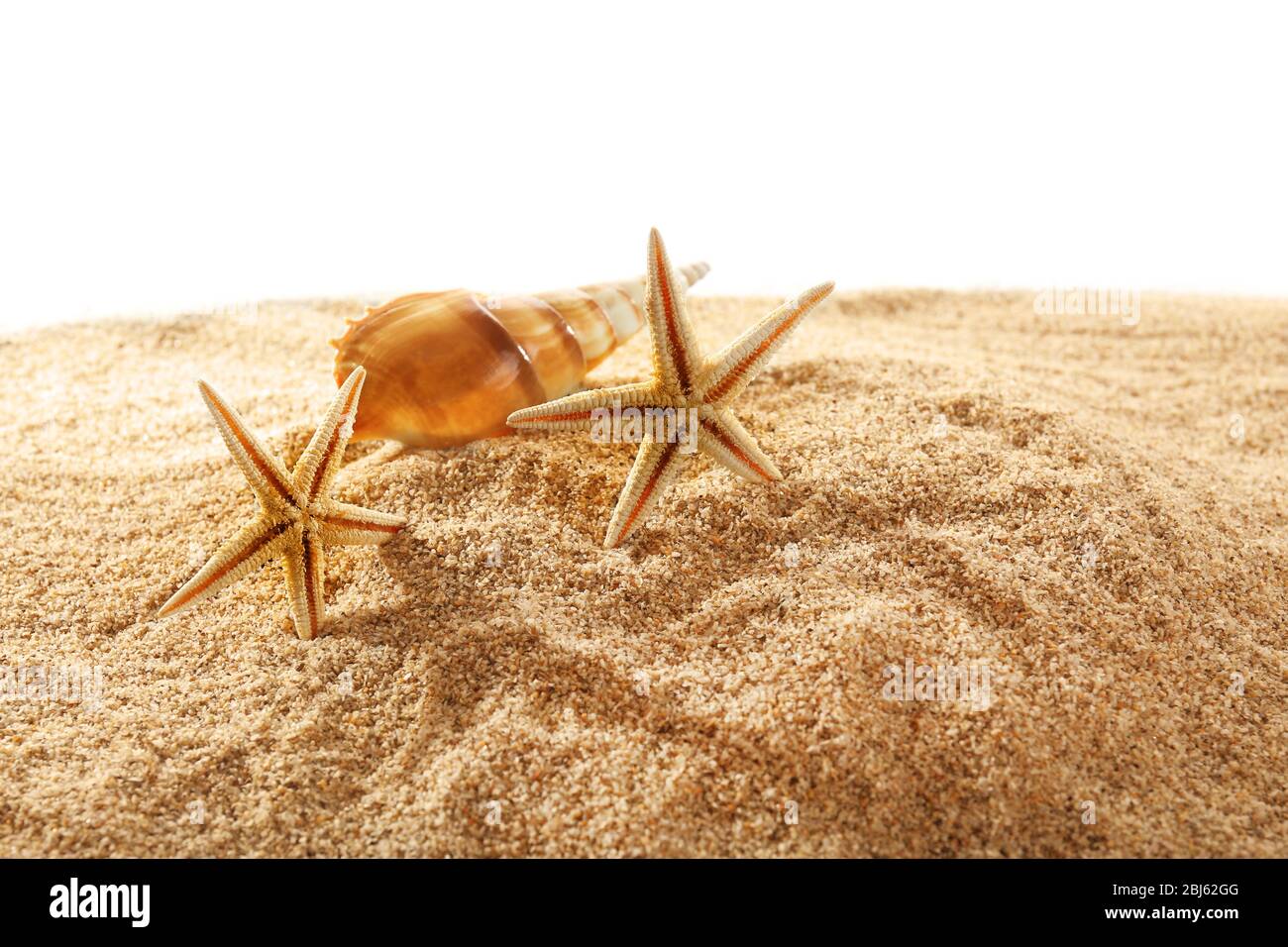 Sea stars and shells on sand isolated on white background Stock Photo ...