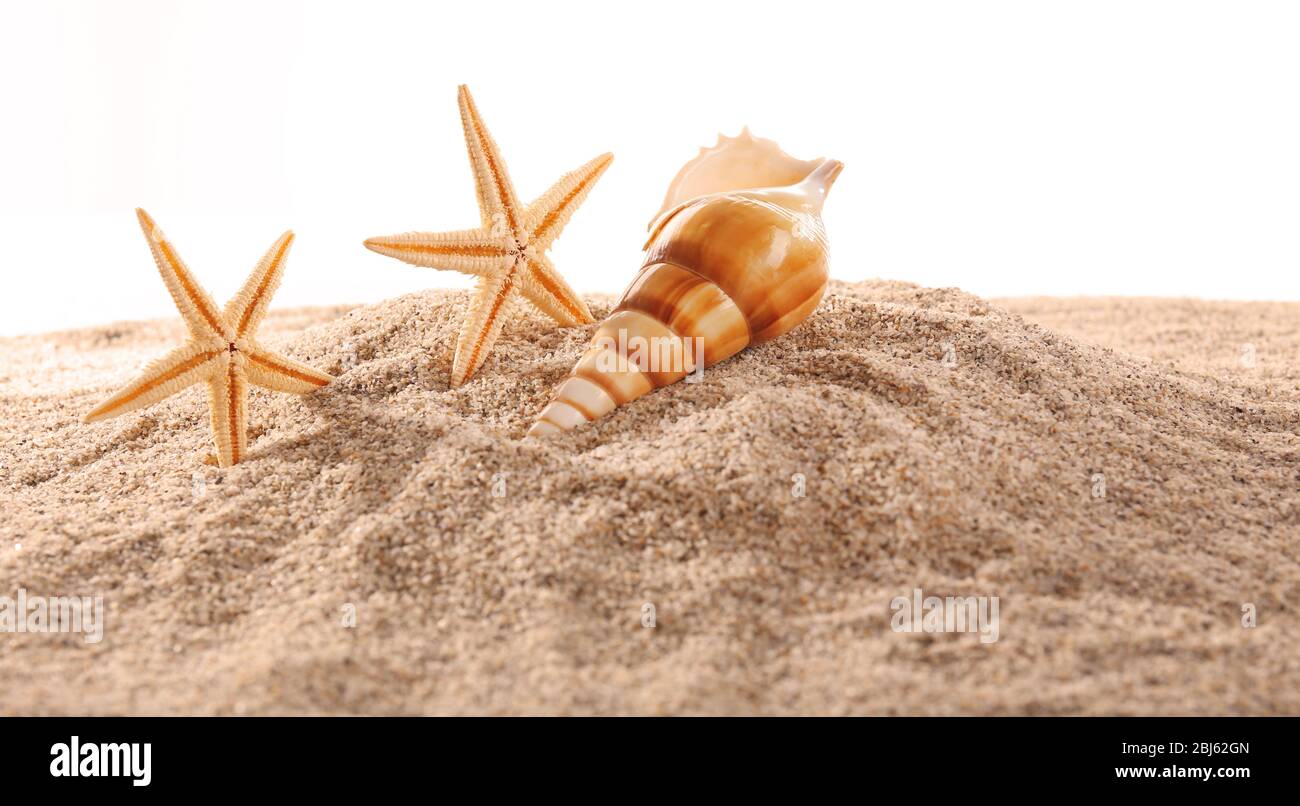 Sea stars and shells on sand isolated on white background Stock Photo ...
