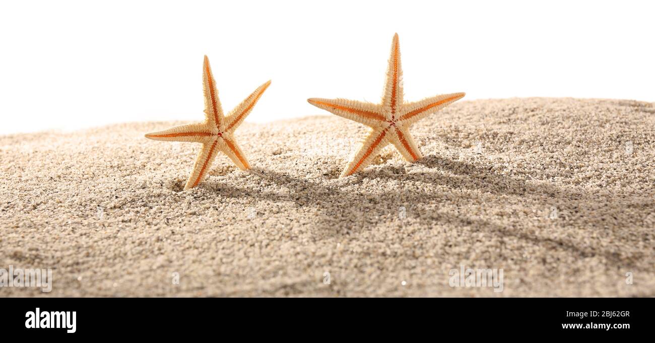 Sea stars on sand isolated on white Stock Photo - Alamy