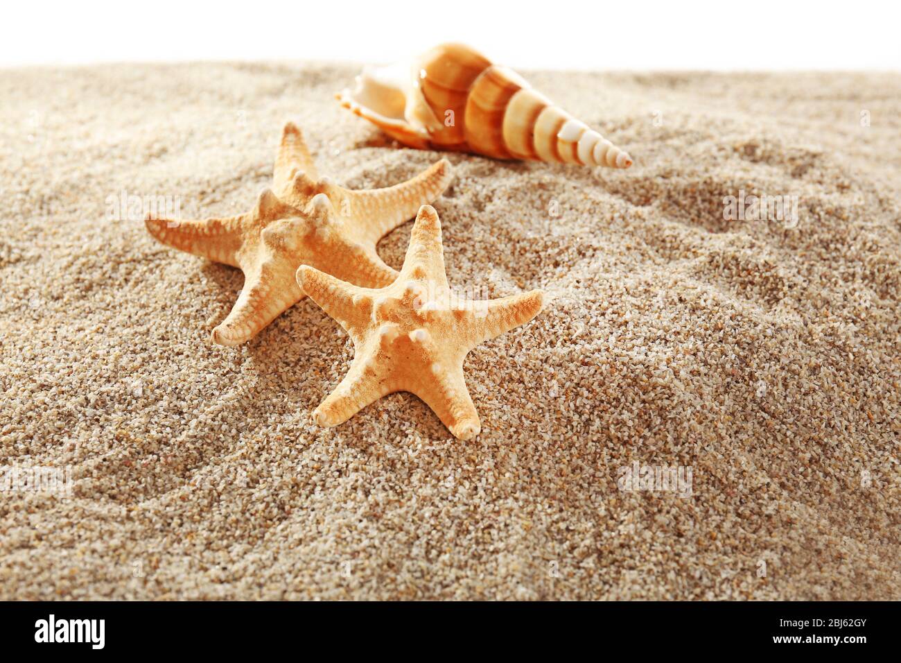 Sea stars and shells on sand isolated on white background Stock Photo ...